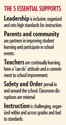 Chart: The 5 essential supports | Chicago Reporter